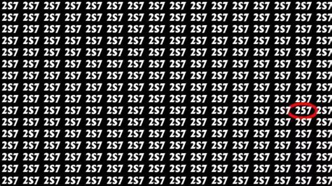 Optical Illusion Test Can You Spot The Number 257 Within 8 Seconds