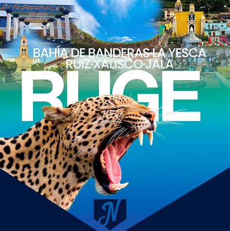 Jaguares Desde La Belleza Costera De Bahía De Banderas Hasta La Grandeza De Jala Pasando Por