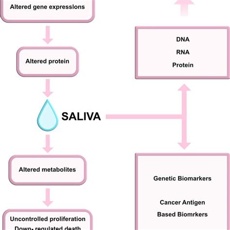 Clinical Utility Of Saliva And The Potential Of Salivary Biomarkers In