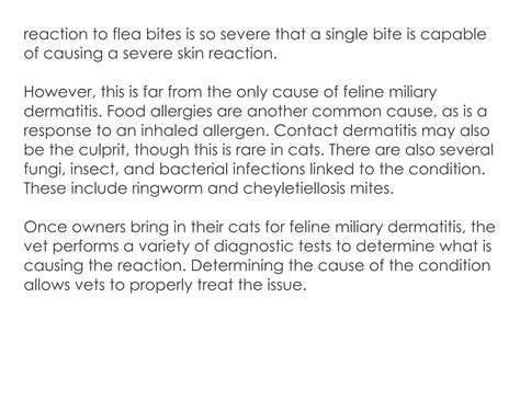 Causes Of Feline Miliary Dermatitis Pdf