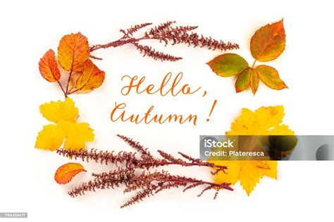 안녕하세요가을 인사말 카드 또는 흰색 바탕에 활기찬가 잎과 가지와 초대장 디자인 9월에 대한 스톡 사진 및 기타 이미지 9월 문자 스페인 Istock