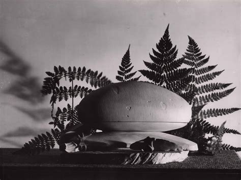 Austrian Frederick And Lillian Kiesler Private Foundation