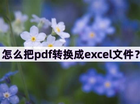 怎么把pdf转换成excel文件?转换的两个方法 正数办公 怎么把pdf转换成excel文件?转换的两个方法 正数办公