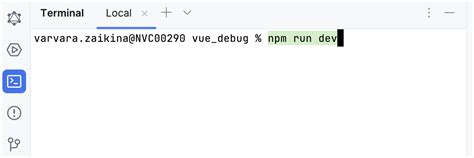 Terminal Webstorm Documentation