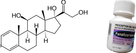 Corticosteroids Side Effects Melbourne Ent Group