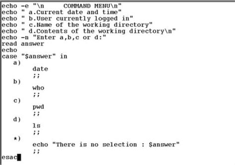 Shell编程实验报告 范文118