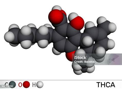 테트라 하이드로 칸 나비 놀산 Thca 테트라 하이드로 칸 나비 놀레이트 분자 테트라 하이드로 칸 나비 놀 Thc의 전구체 활성 성분 대마초 분자 모델 3d 렌더링 디지털