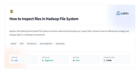 How To Inspect Files In Hadoop File System Labex