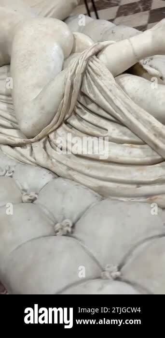 A Hermaphrodite Stock Videos And Footage Hd And 4k Video Clips Alamy
