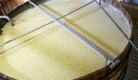 Does Yeast Multiply During Fermentation