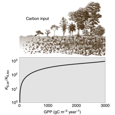 Soil Structure Is An Important Omission In Earth System Models