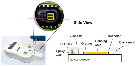 Application Of Shear Horizontal Surface Acoustic Wave Sh Saw Immunosensor In Point Of Care