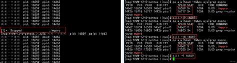 【linux】进程状态linux 任务状态 Csdn博客