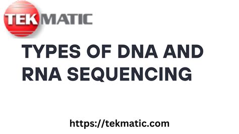 Types Of Dna And Rna Sequencing Tek Matic Inc Page 1 6 Flip Pdf