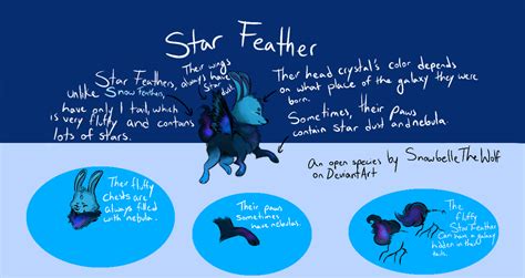 Star Feather Reference Sheet By Dreamydrift On Deviantart