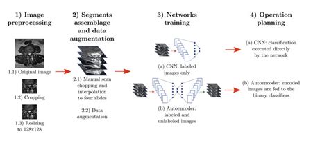 Proposed Computing Pipeline From Preprocessing Of Raw Mri Pictures To Download Scientific