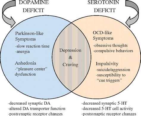 Figure 1 From Dopamine Serotonin Releasers As Medications For Stimulant Addictions Semantic