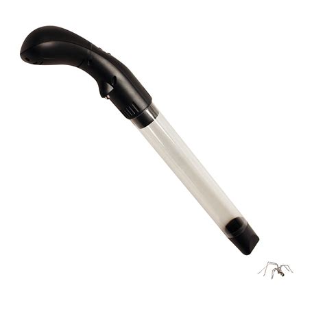 How To Vacuum Spider S At Marsha Tibbetts Blog