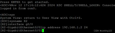 【实验】【h3cne邓方鸣】ip和tcp抓包分析实验20241112邓方鸣在线实验 Csdn博客