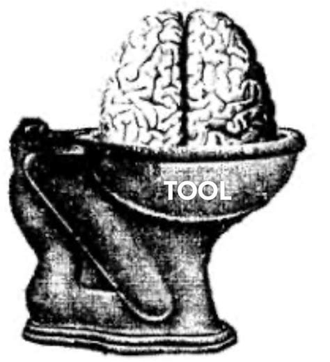 Useful Idiot R Tooljerk