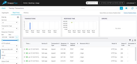 Monitor Ruby Application On Instance Windows SnappyFlow