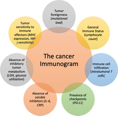 The Cancer Immunogram The Schema Depicts The Seven Parameters That
