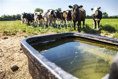 farmers fined for not registering water abstraction points premium