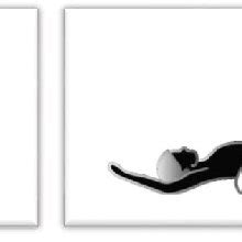 Temperature Dependent Sex Determination Pattern Of Crocodylus Acutus Download Scientific