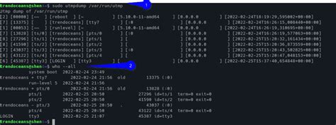 ¿qué Son Utmp Wtmp Btmp Y Cómo Leerlos Muylinux