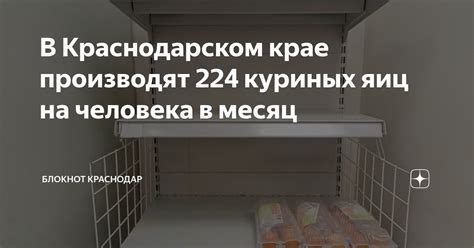 В Краснодарском крае производят 224 куриных яиц на человека в месяц Блокнот Краснодар Дзен