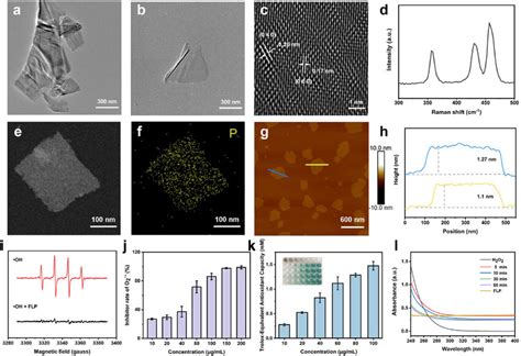 Characterization And Ros Scavenging Ability Evaluation Of Flp A And