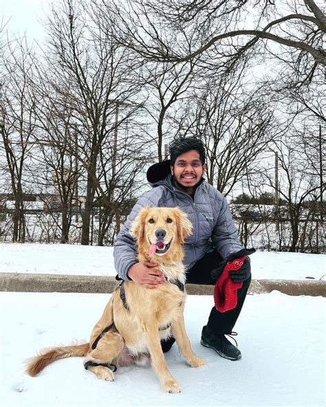 Utdmsba Jsom Itaudit Ms Business Analytics And Artificial