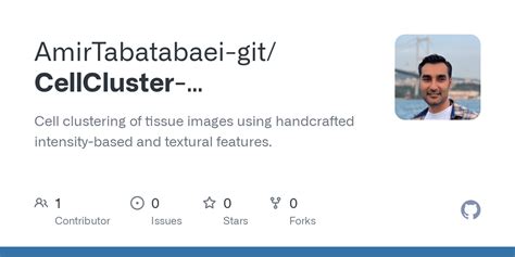 github amirtabatabaei git cellcluster featuresextraction cell