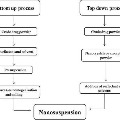 Schematic Diagram Of The Preparation Of Niosomes Via Reverse Phase Download Scientific Diagram