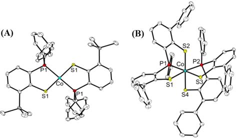 Cobalt Complex An Overview Sciencedirect Topics 42 Off