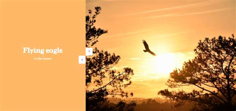 Subham Pradhan On Linkedin 100projectsdevelopmentchallenge