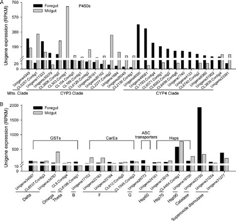 Comparative Analysis The Transcriptomic Abundances Of Xenobiotic Download Scientific Diagram