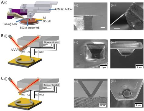 Schematics For Combined Afm‐secm Measurements A I Tuning Download Scientific Diagram