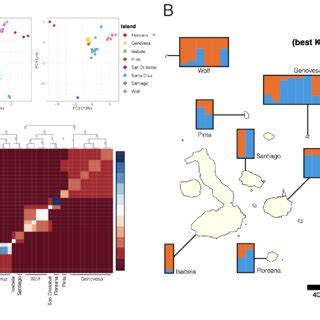 Despite Extensive Ecophenotypic Variation Opuntia Shows Relatively Low Download Scientific