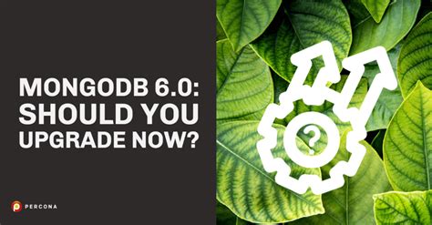 Mongodb 6 0 Should You Upgrade Now