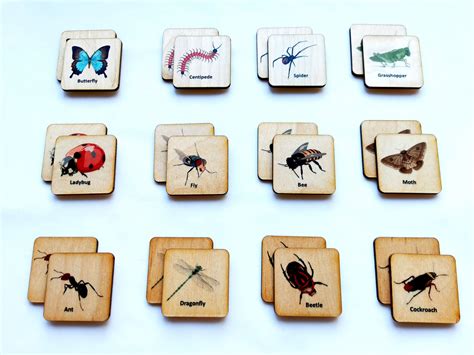 Wooden Insect Bug Memory Game Montessori Insect Bug Matching Etsy