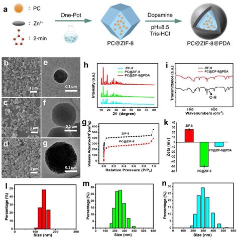 A Schematic Illustration Of The Synthesis Process Of PC ZIF 8 PDA