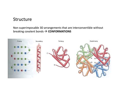 Structure Macromolecular Structure Lecture Slides Bch 701 Docsity