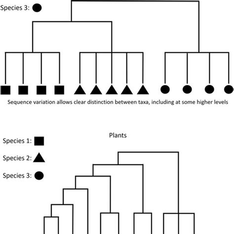 Depiction Of The Patterns Produced By The Clustering Of Sequence