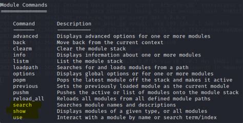 Metasploit On Tryhackme The Dutch Hacker