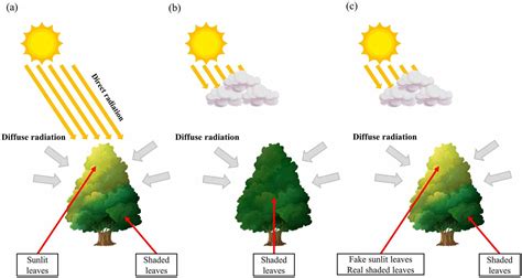 a dynamic leaf light use efficiency model for improving gross primary production estimation
