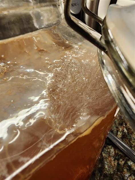 Third Attempt Really Worried That There Is Kahm In This Batch At This