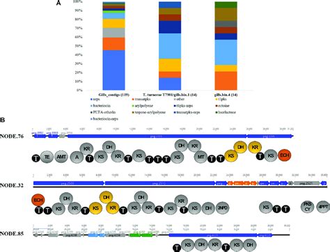 Gill Genome Bins Contigs For Biosynthetic Gene Clusters Bgcs A