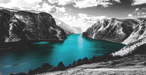 Color Splash：free Online Color Splash Effect Fotor Photo Editor