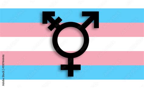 Transsexual Flag Gender Sex Symbol Isolated Stock Illustration Adobe Stock